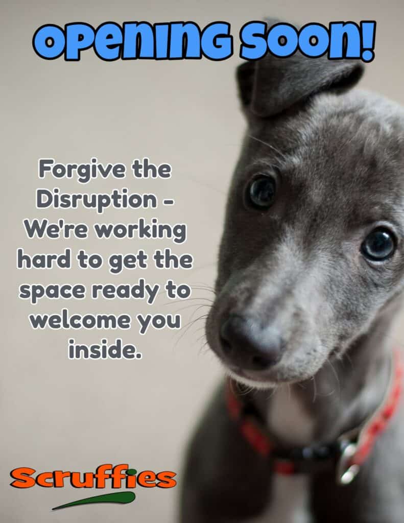 Expansion: New Premises | scruffies.co.uk